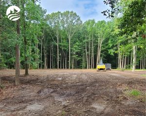 Land Clearing Services | Middle Peninsula, VA | R.E. Douglas Company, Inc